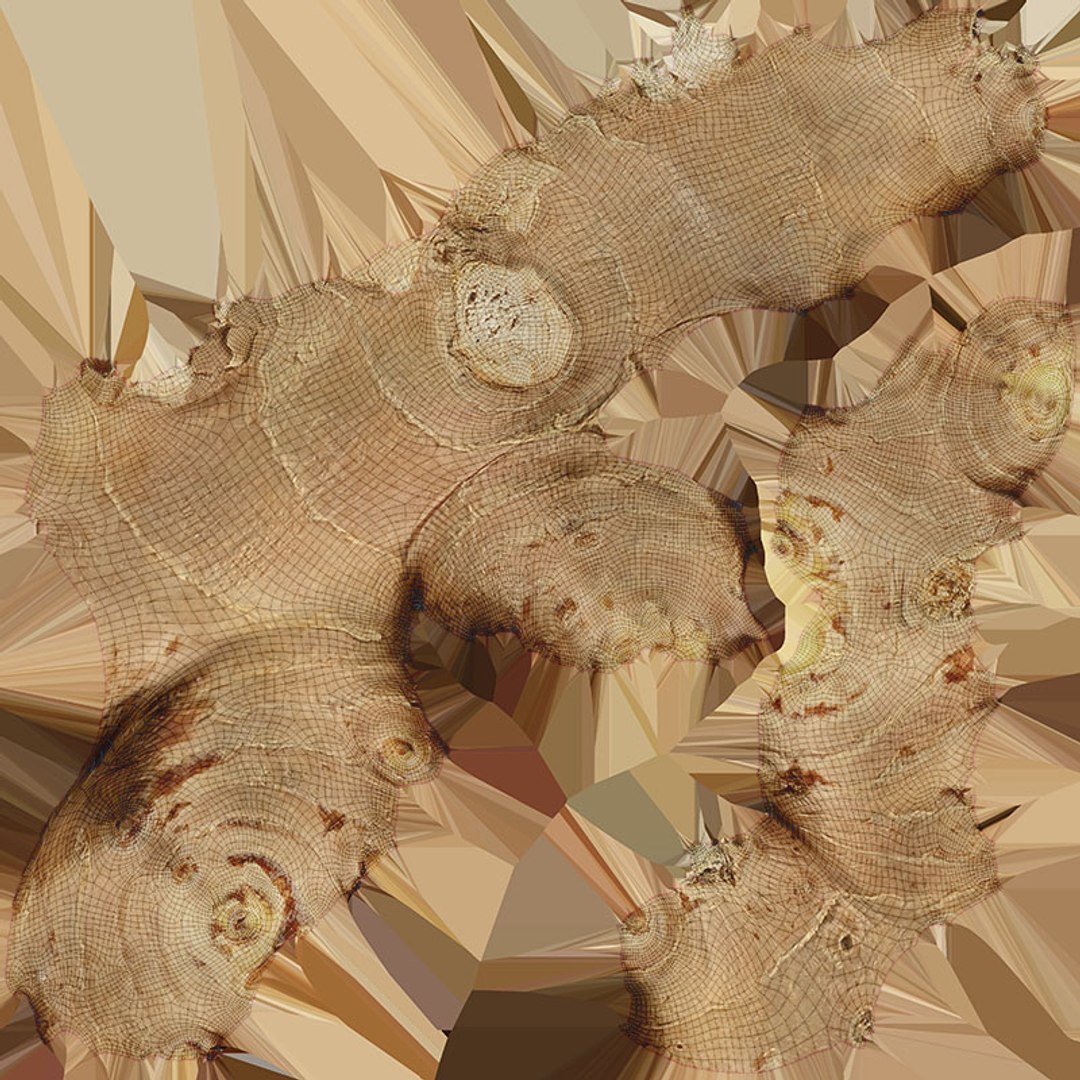 Ginger Root 02 3D Model - TurboSquid 2384335