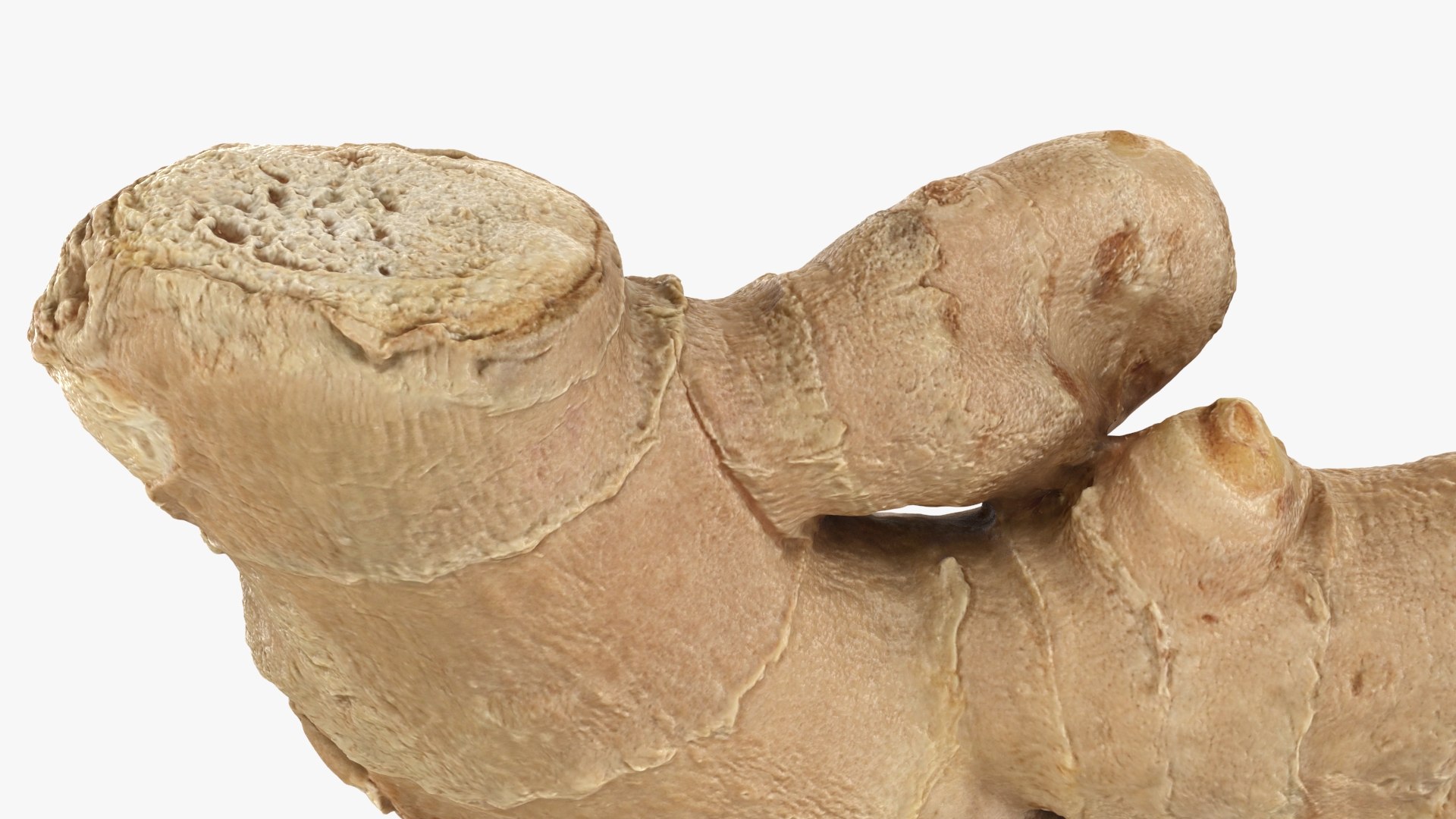 Ginger Root 02 3D Model - TurboSquid 2384335
