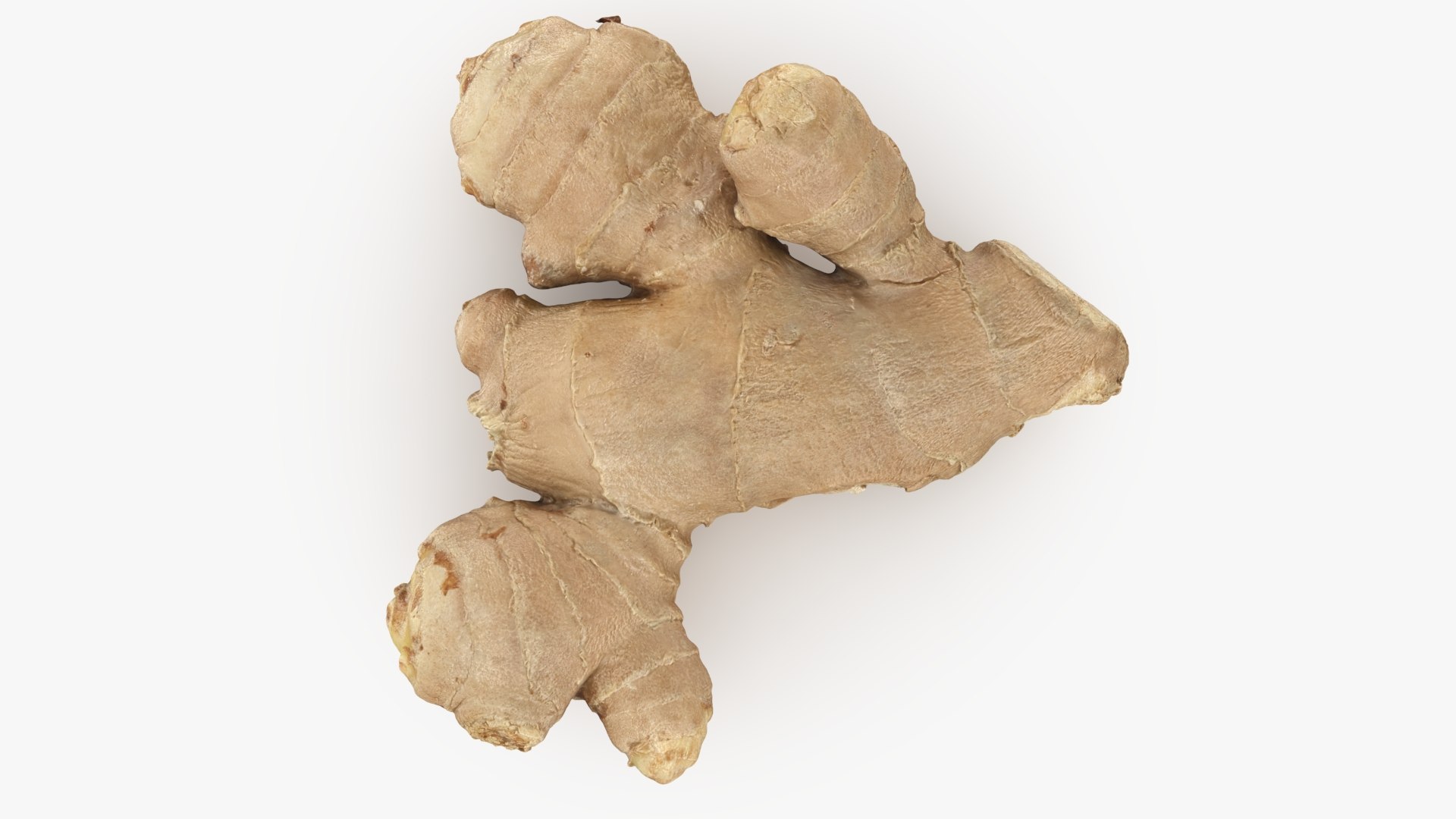 Ginger Root 02 3D Model - TurboSquid 2384335