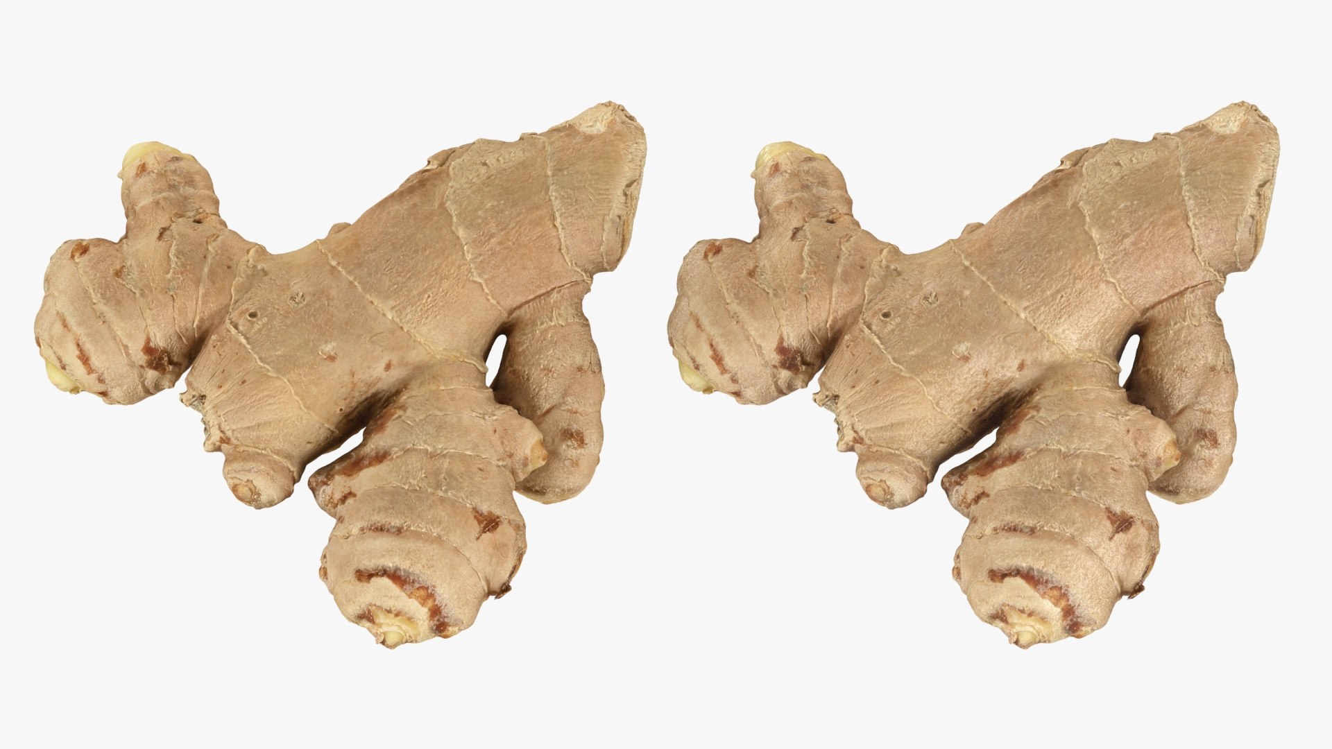 Ginger Root 02 3D Model - TurboSquid 2384335