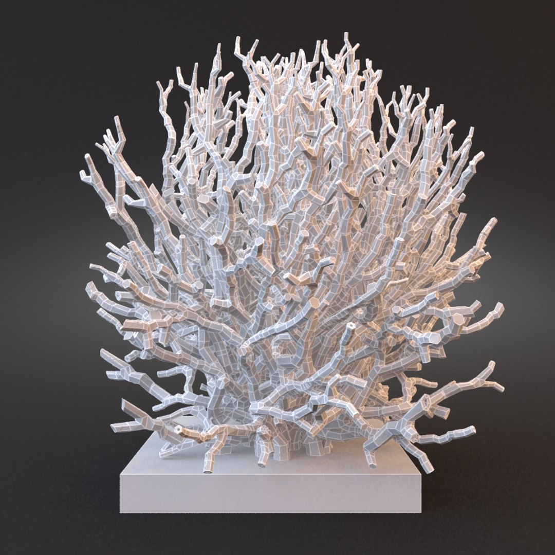 3d White Coral Model
