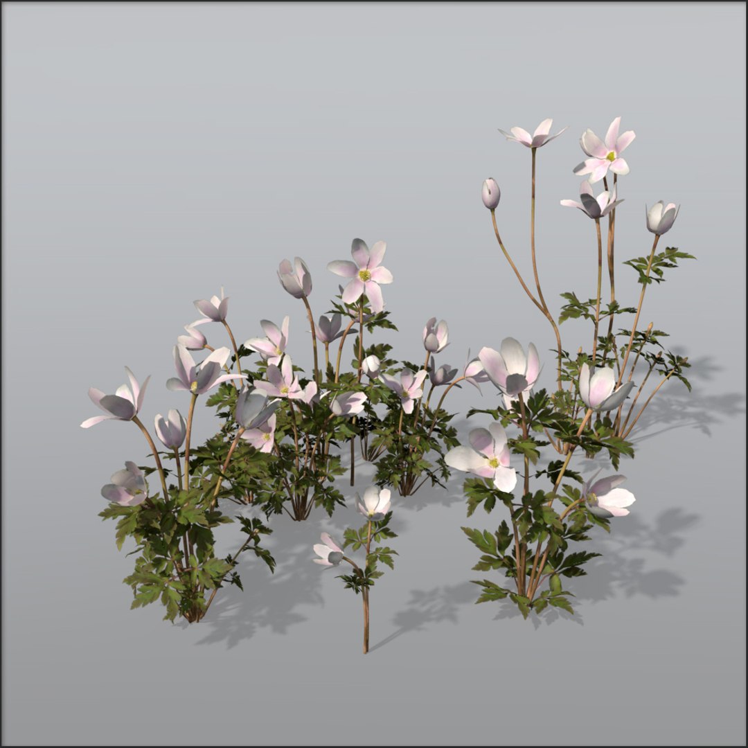 3d model wildflowers vol 1