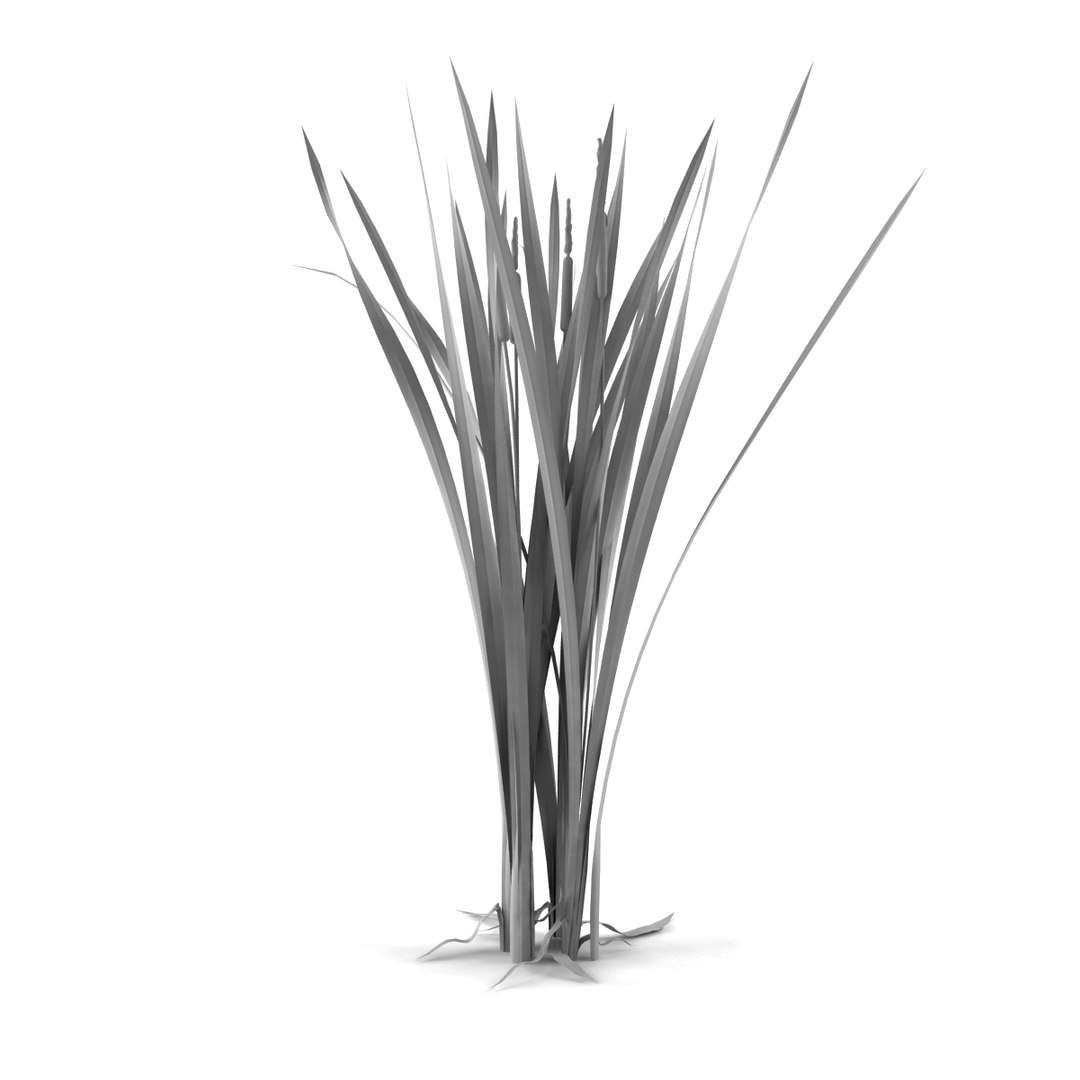 marsh reeds swamp 3d 3ds