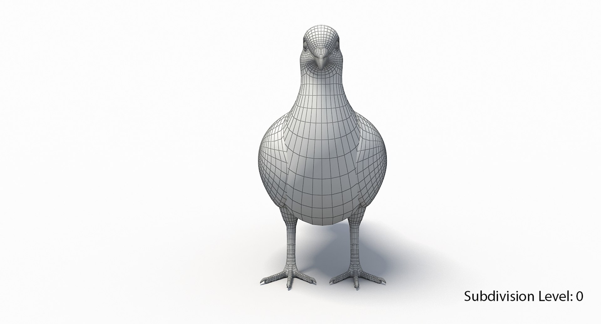 City pigeon rigging animation model - TurboSquid 1270363