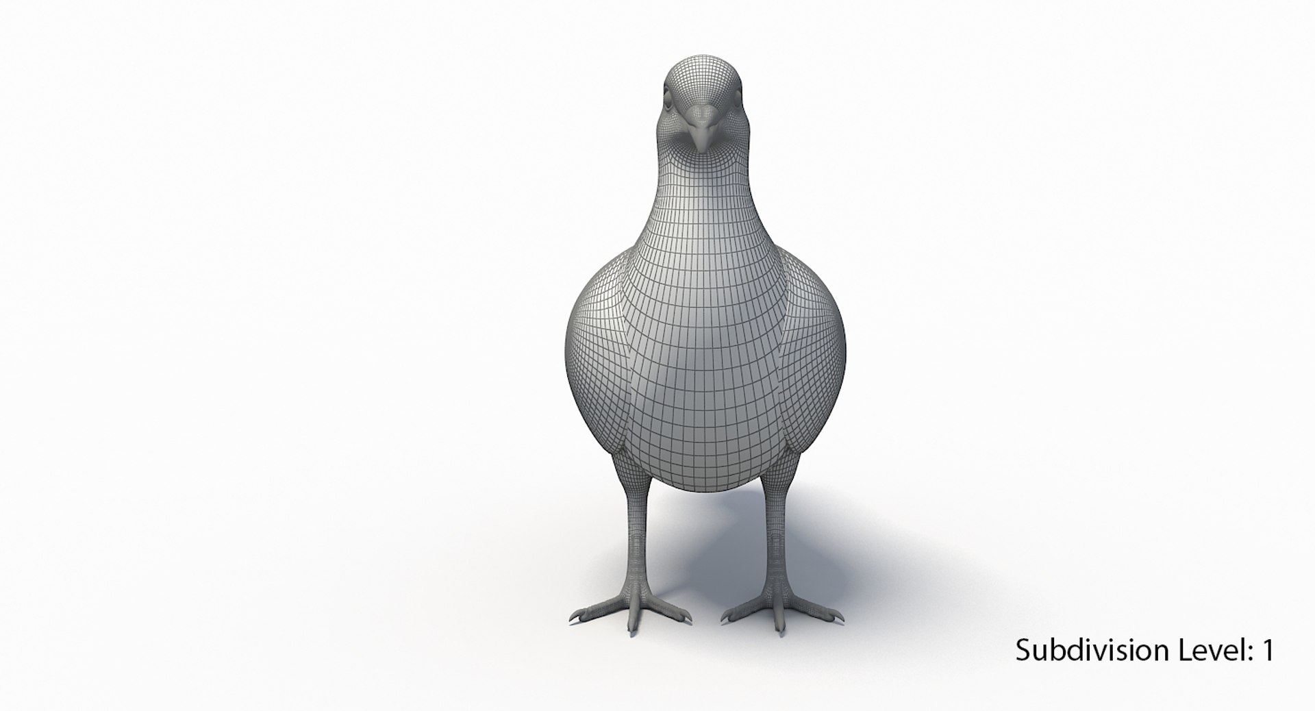 City pigeon rigging animation model - TurboSquid 1270363