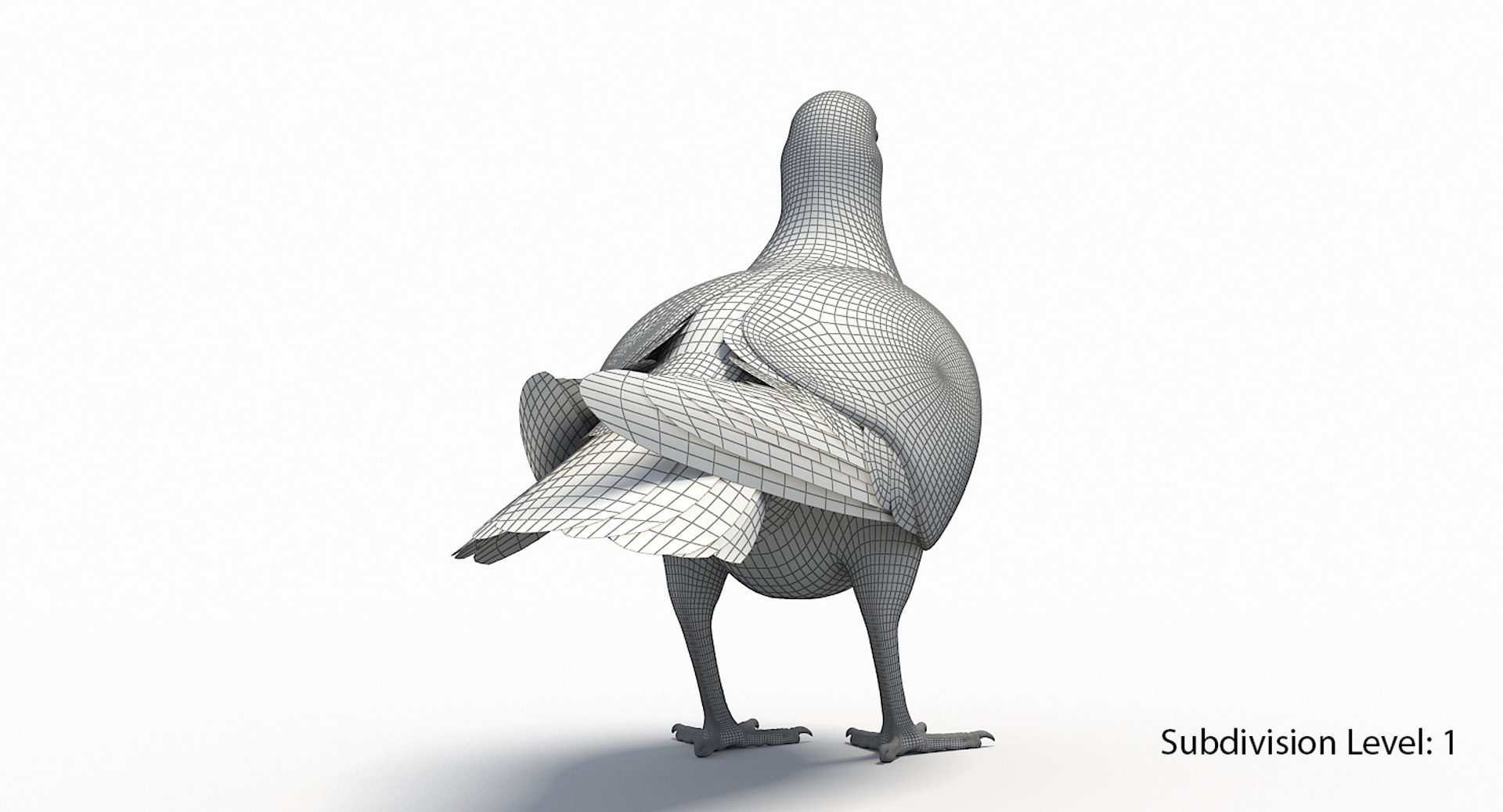 City pigeon rigging animation model - TurboSquid 1270363