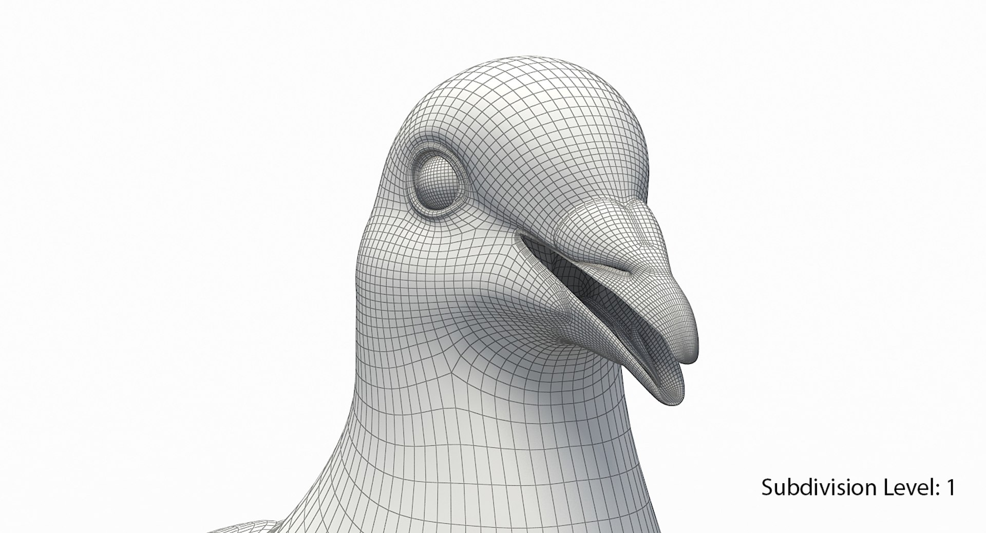 City pigeon rigging animation model - TurboSquid 1270363