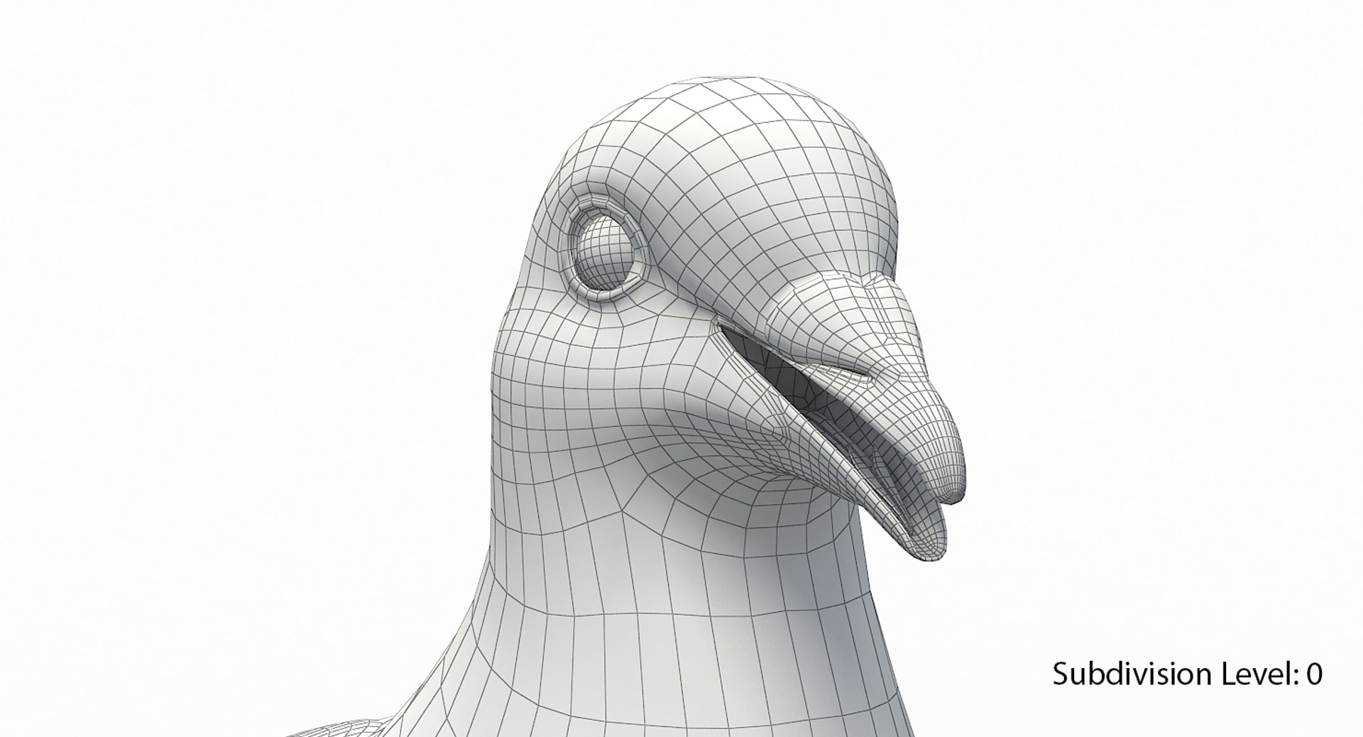 City pigeon rigging animation model - TurboSquid 1270363
