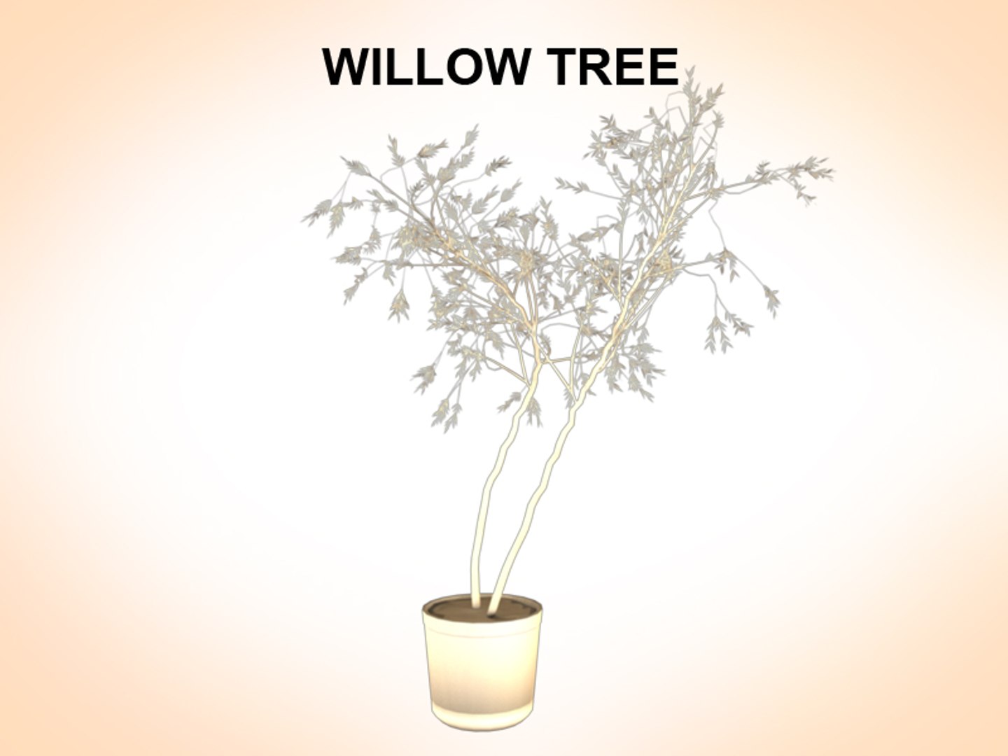 Willow Tree 3ds