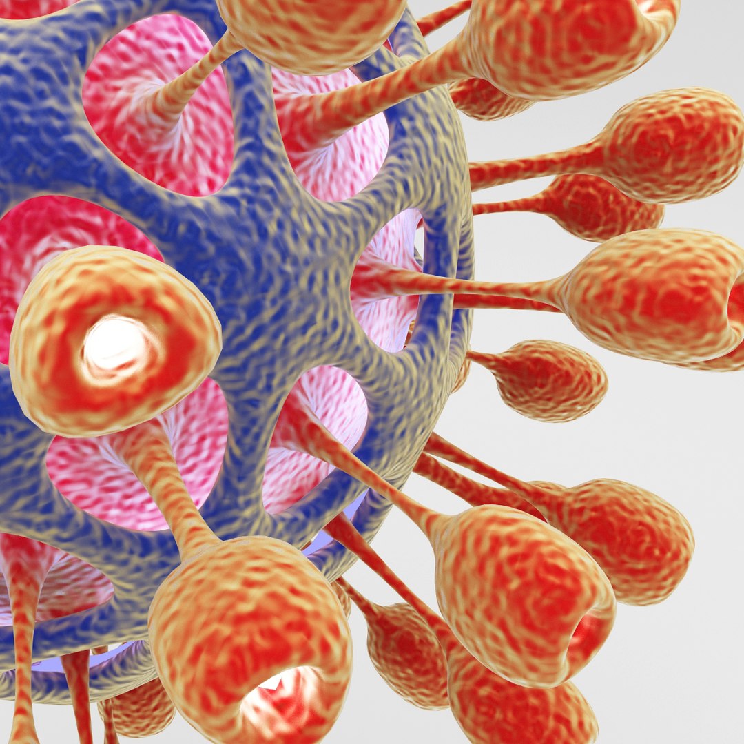 Light Virus 3d Model