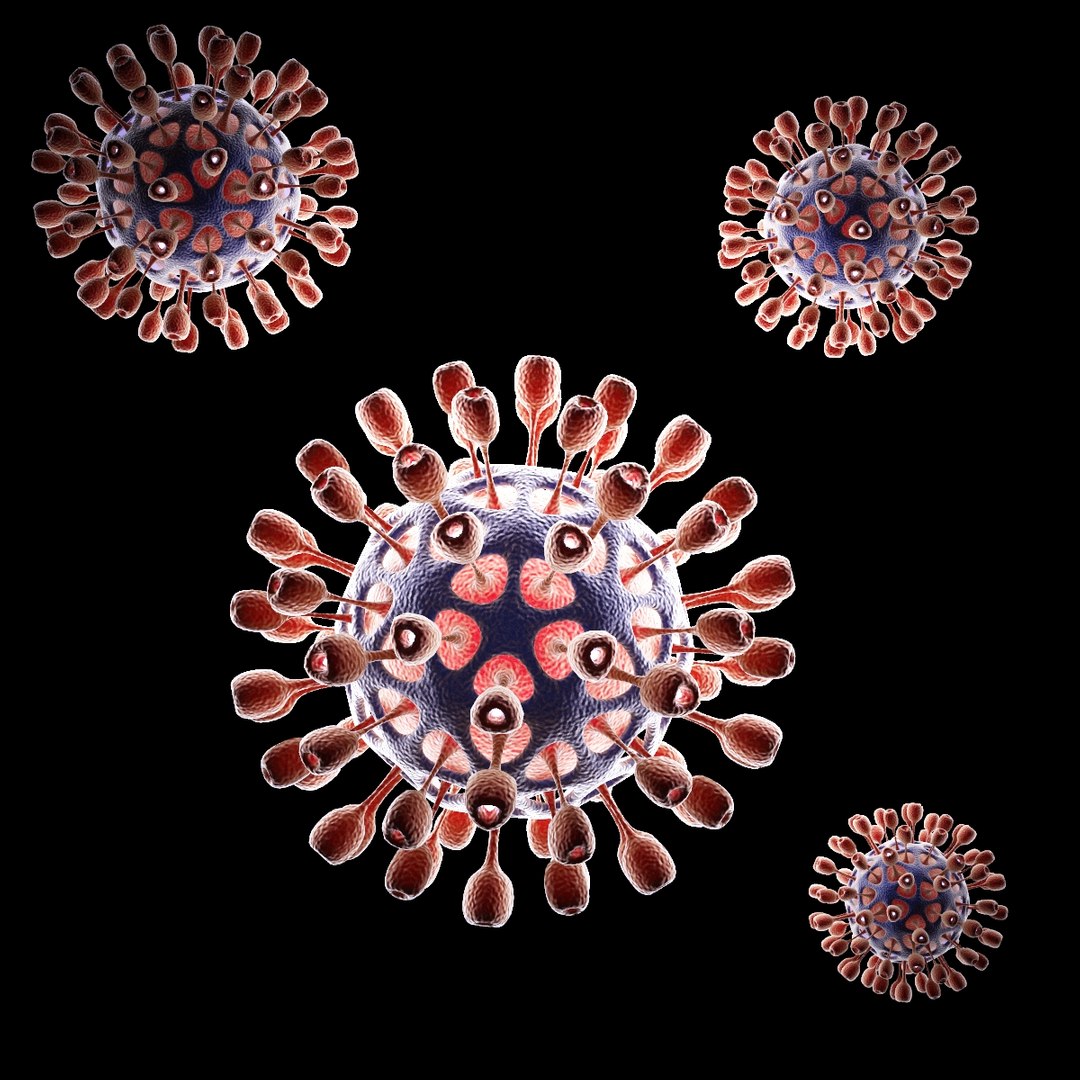 light virus 3d model