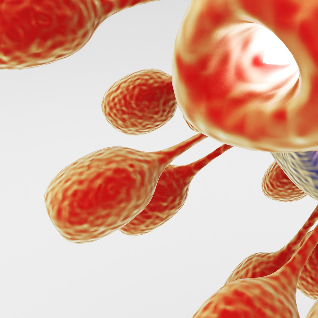 Light Virus 3d Model