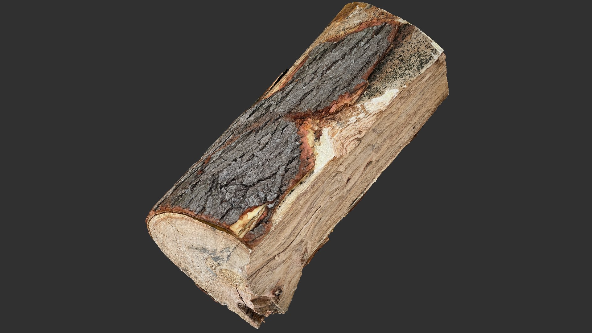 3D Scan Tree Trunk In Highpoly 3D Model - TurboSquid 2201482