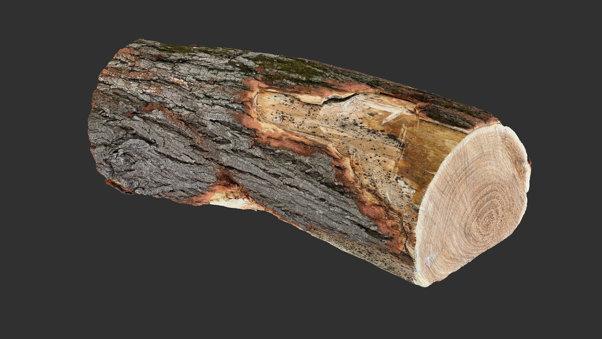 3D Scan Tree Trunk In Highpoly 3D Model - TurboSquid 2201482
