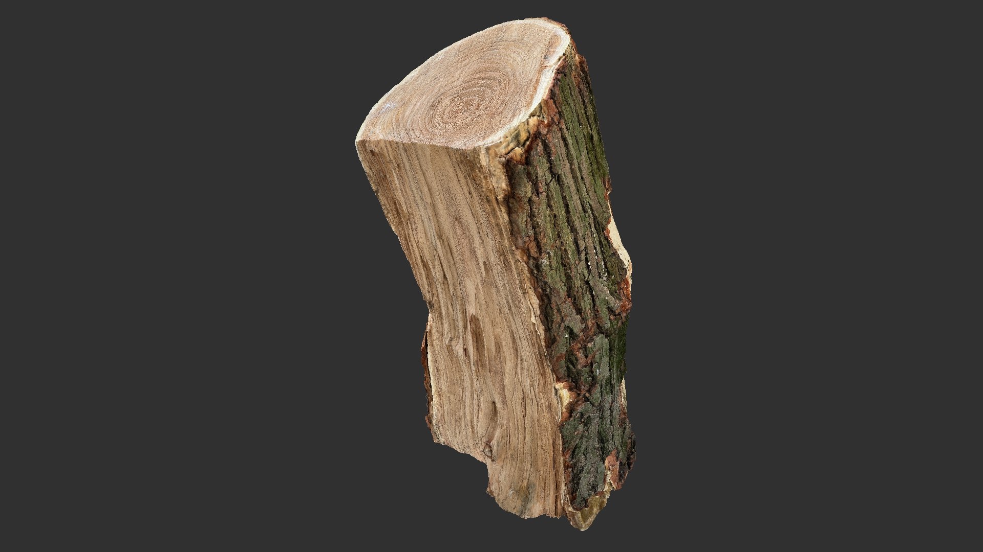 3D Scan Tree Trunk In Highpoly 3D Model - TurboSquid 2201482