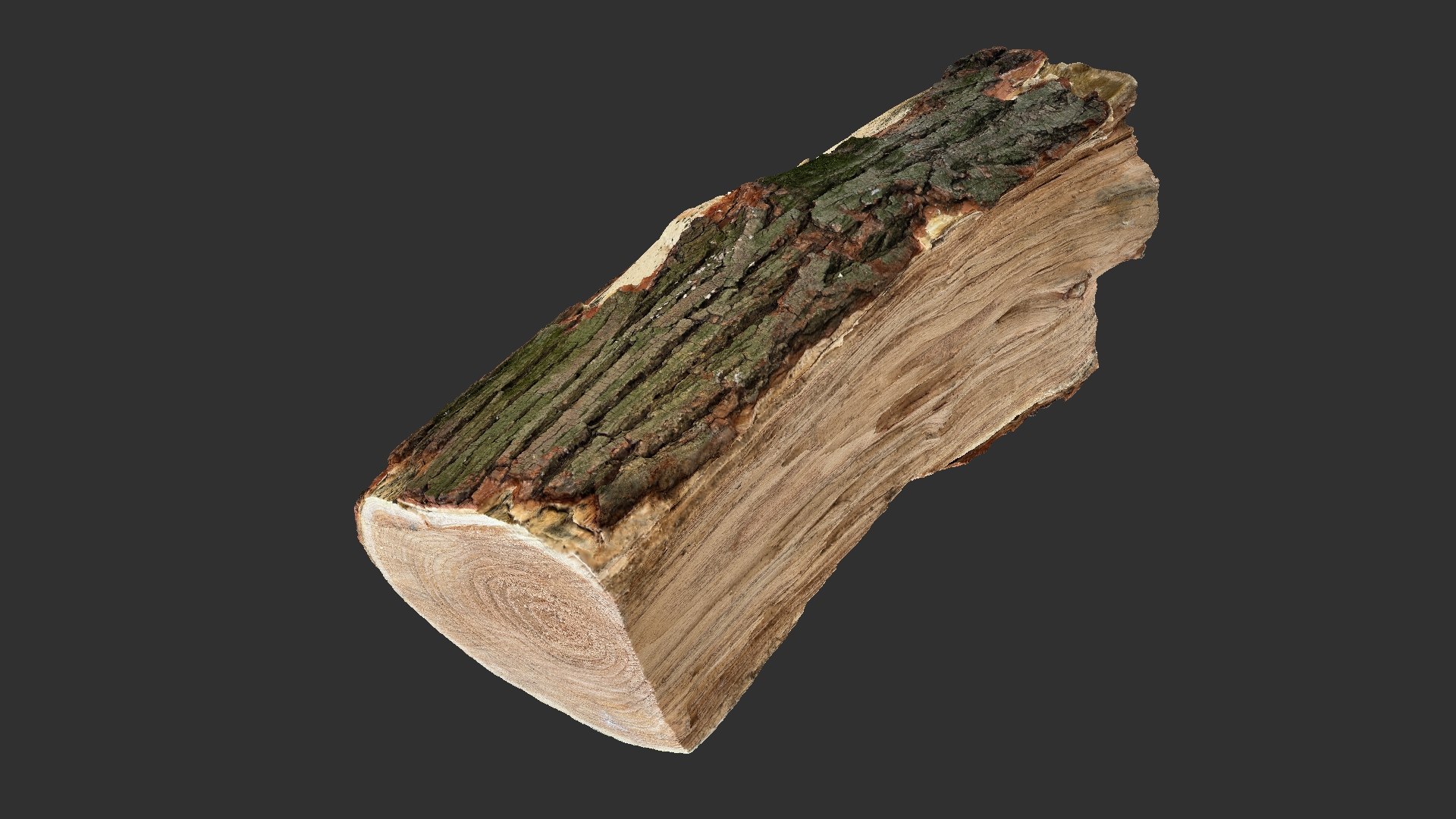 3D Scan Tree Trunk In Highpoly 3D Model - TurboSquid 2201482