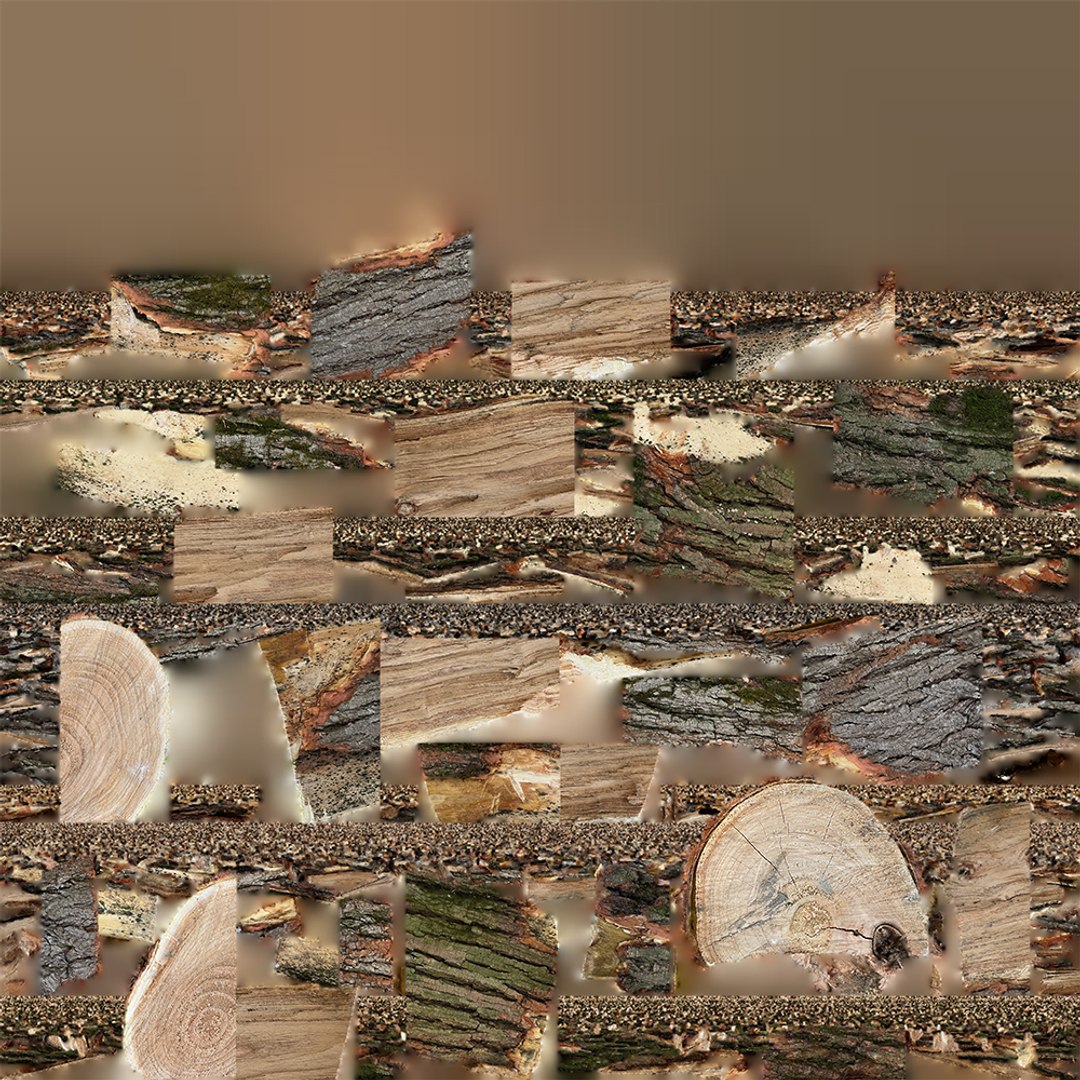 3D Scan Tree Trunk In Highpoly 3D Model - TurboSquid 2201482