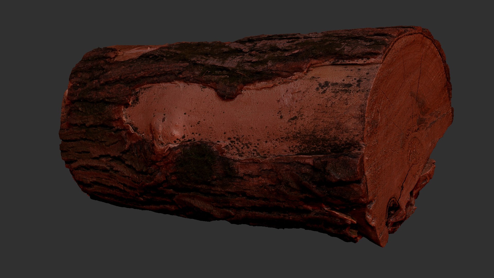 3D Scan Tree Trunk In Highpoly 3D Model - TurboSquid 2201482