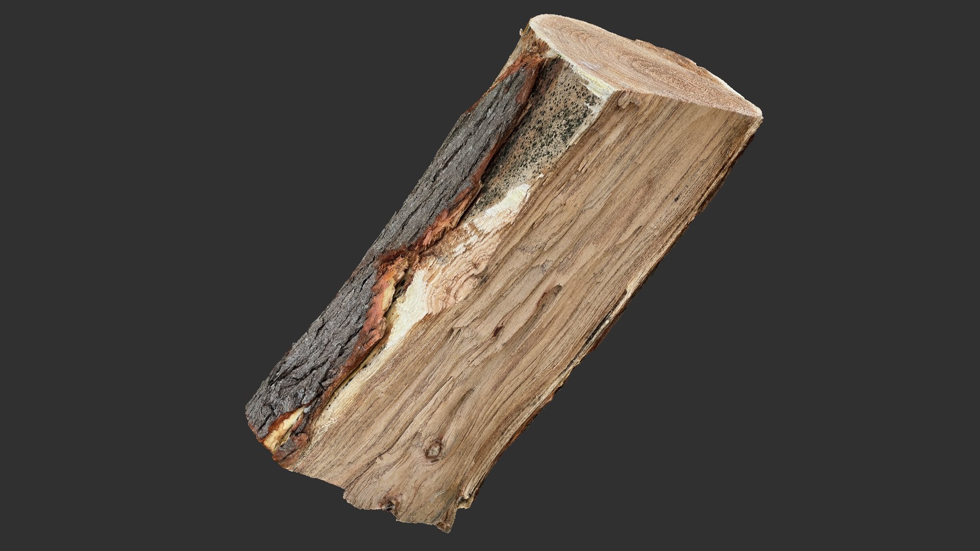3D Scan Tree Trunk In Highpoly 3D Model - TurboSquid 2201482