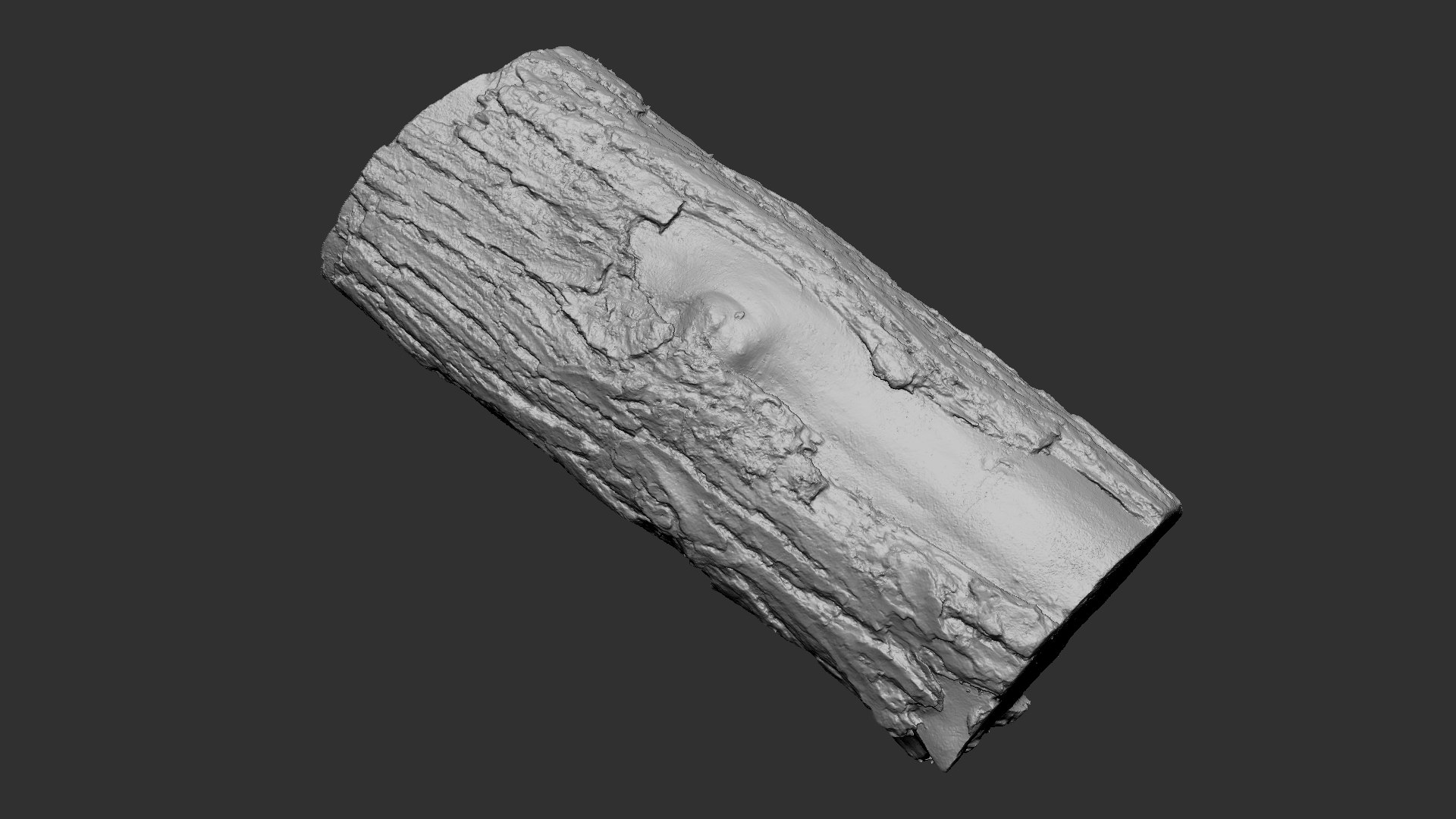 3D Scan Tree Trunk In Highpoly 3D Model - TurboSquid 2201482