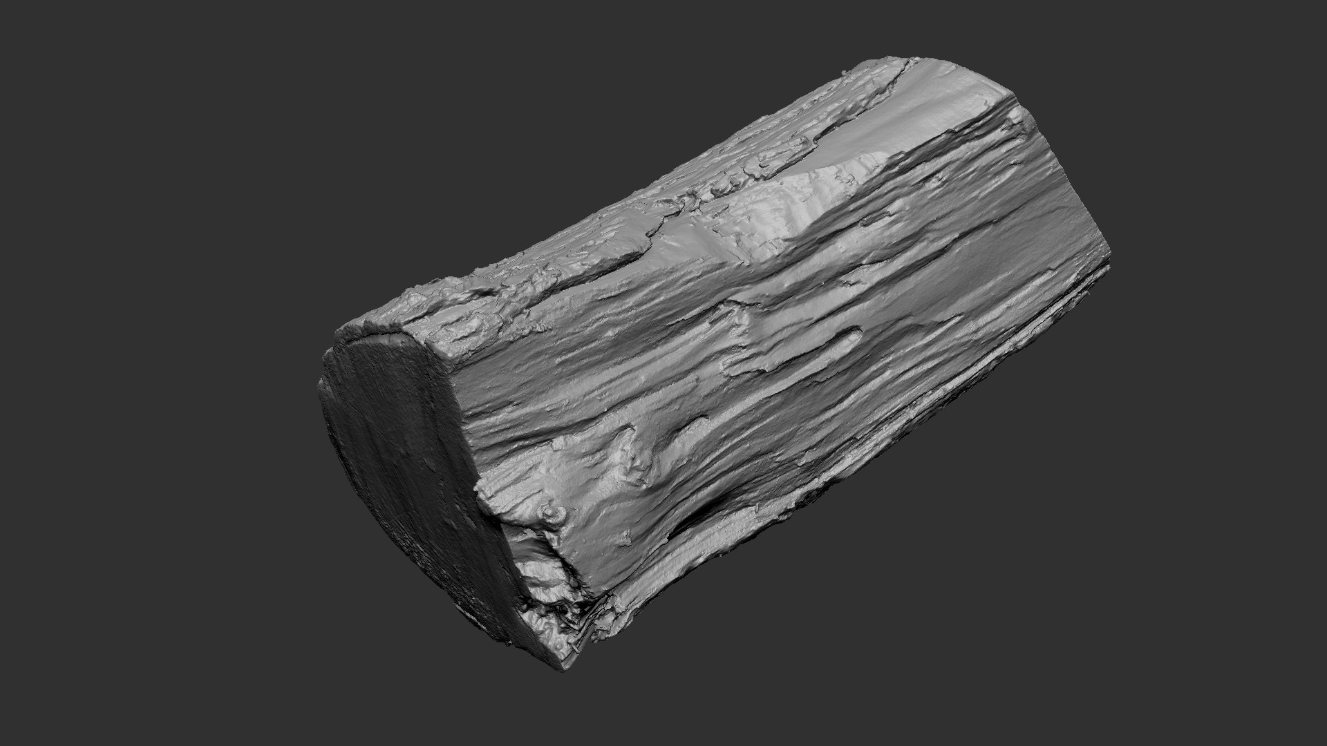 3D Scan Tree Trunk In Highpoly 3D Model - TurboSquid 2201482