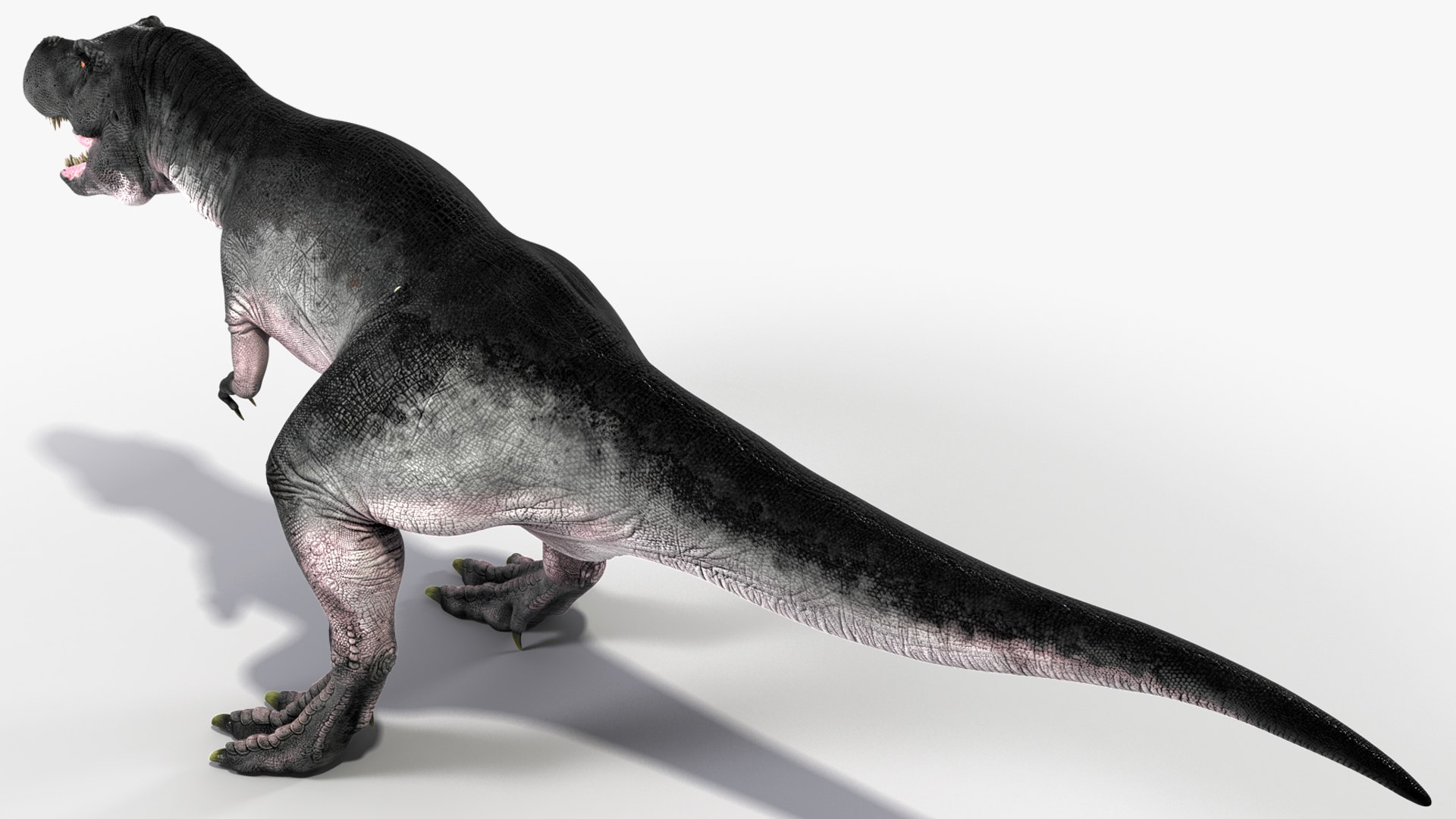 3D model T Rex Standart Pose - TurboSquid 2111020