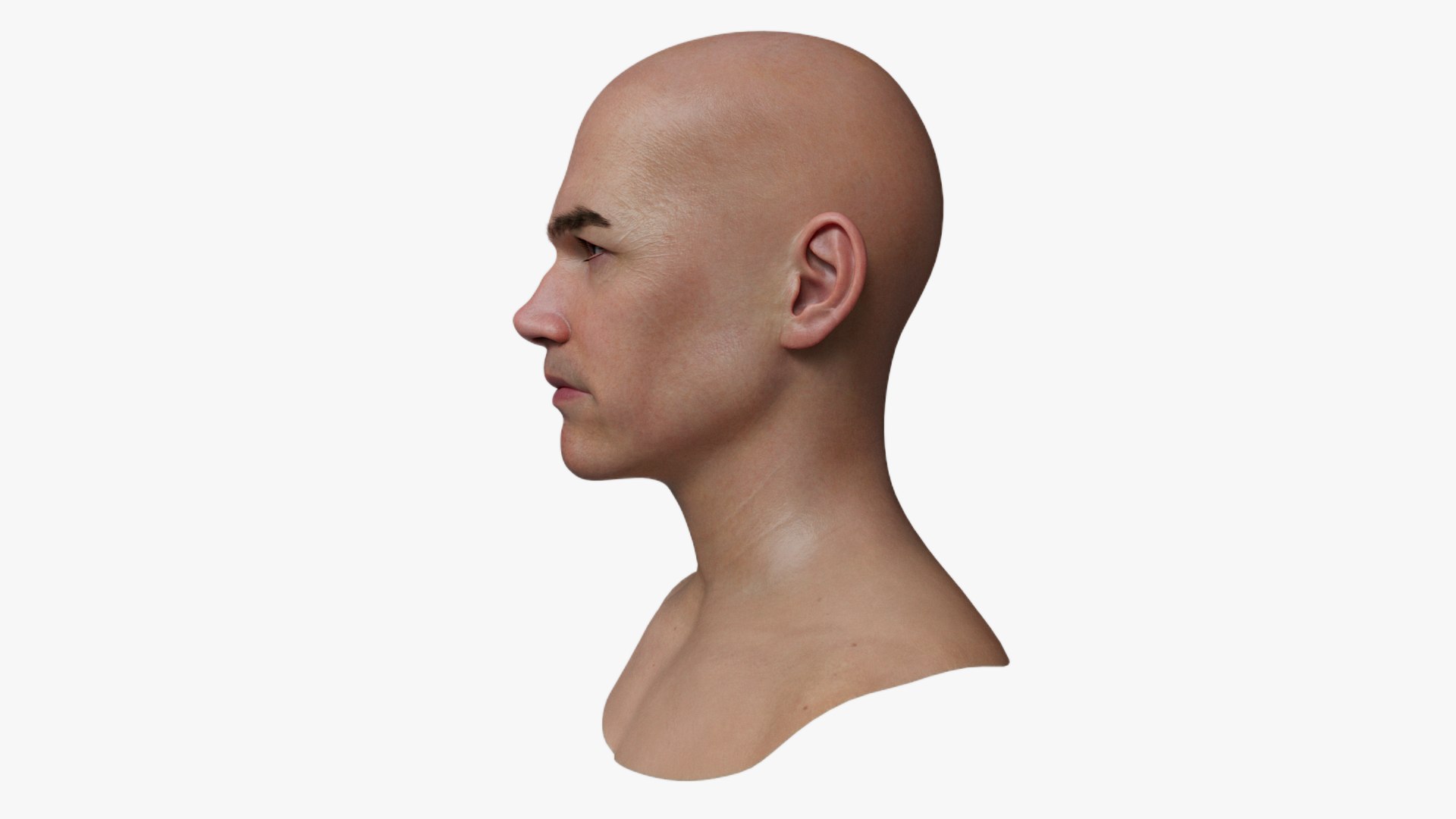 White Male Head Base Mesh Metahuman Topology V2 Model - TurboSquid 2258511