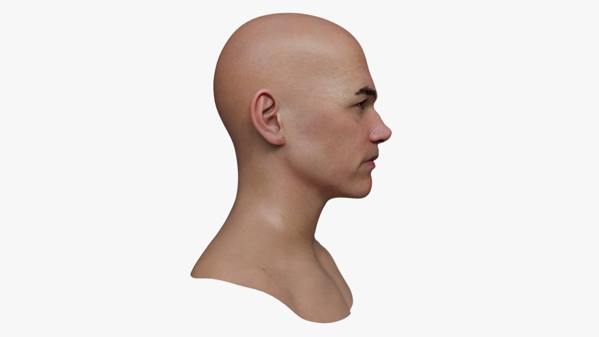White Male Head Base Mesh Metahuman Topology V2 Model - TurboSquid 2258511