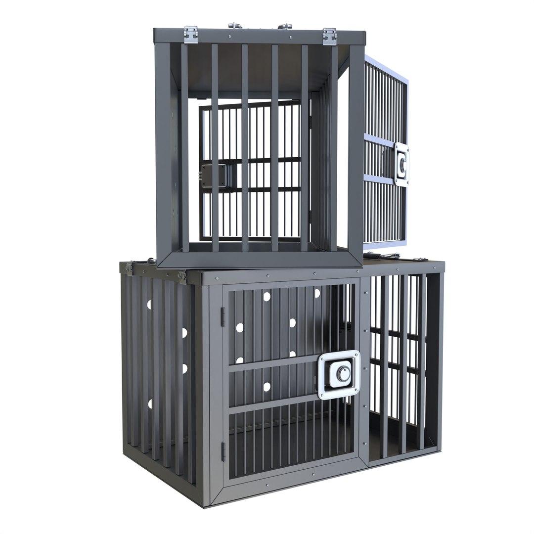 Cage Is Metal 3D - TurboSquid 2182263