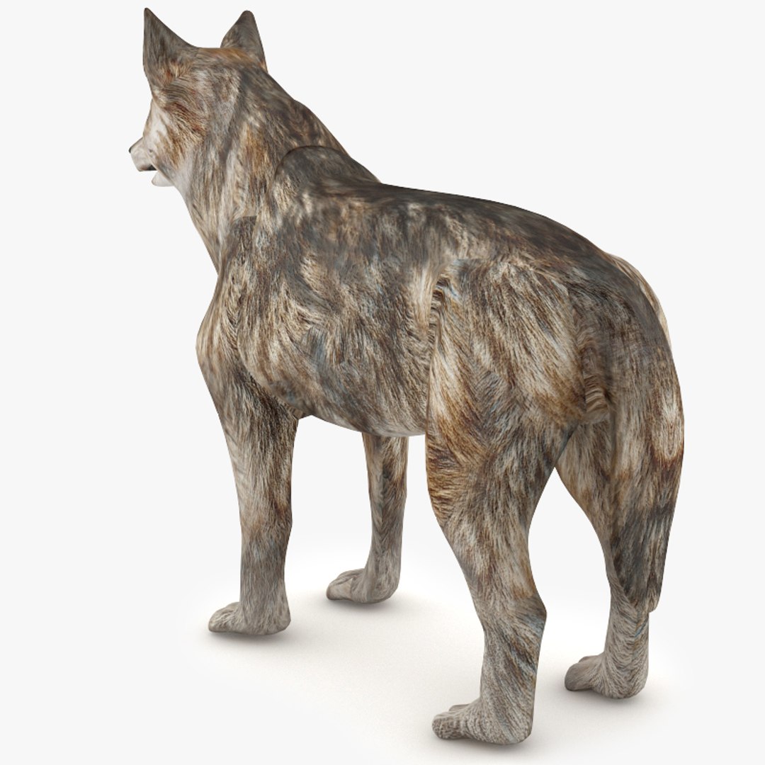 3d Model Wolf Dog Animal
