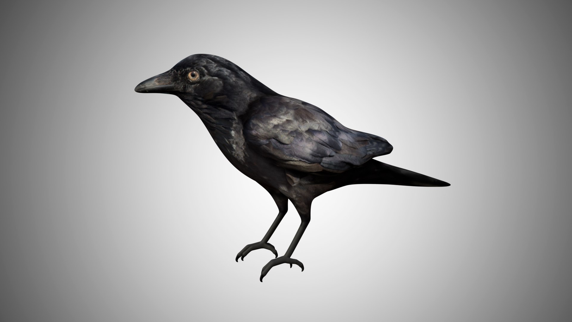 Rigged 3D Model - TurboSquid 1608162