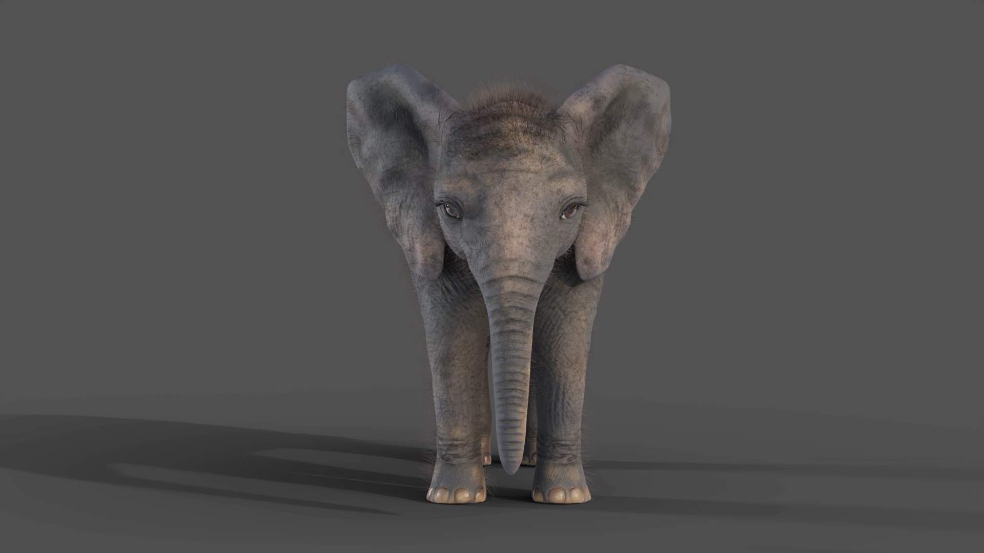 3D Fur Baby Elephant NO Rigged In Blender - TurboSquid 1949944