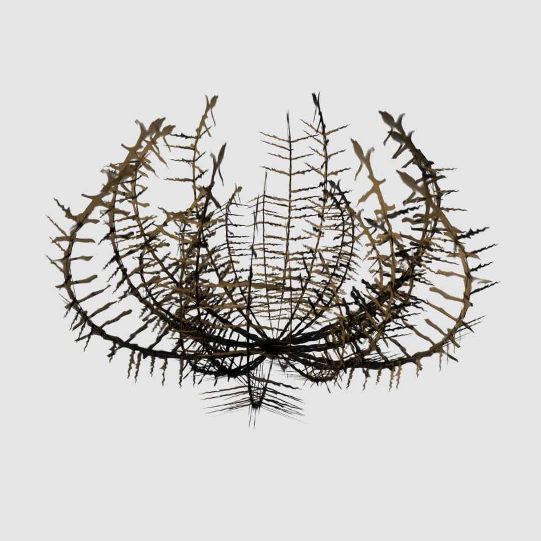 Tumbleweed Tumble Weed 3d Model