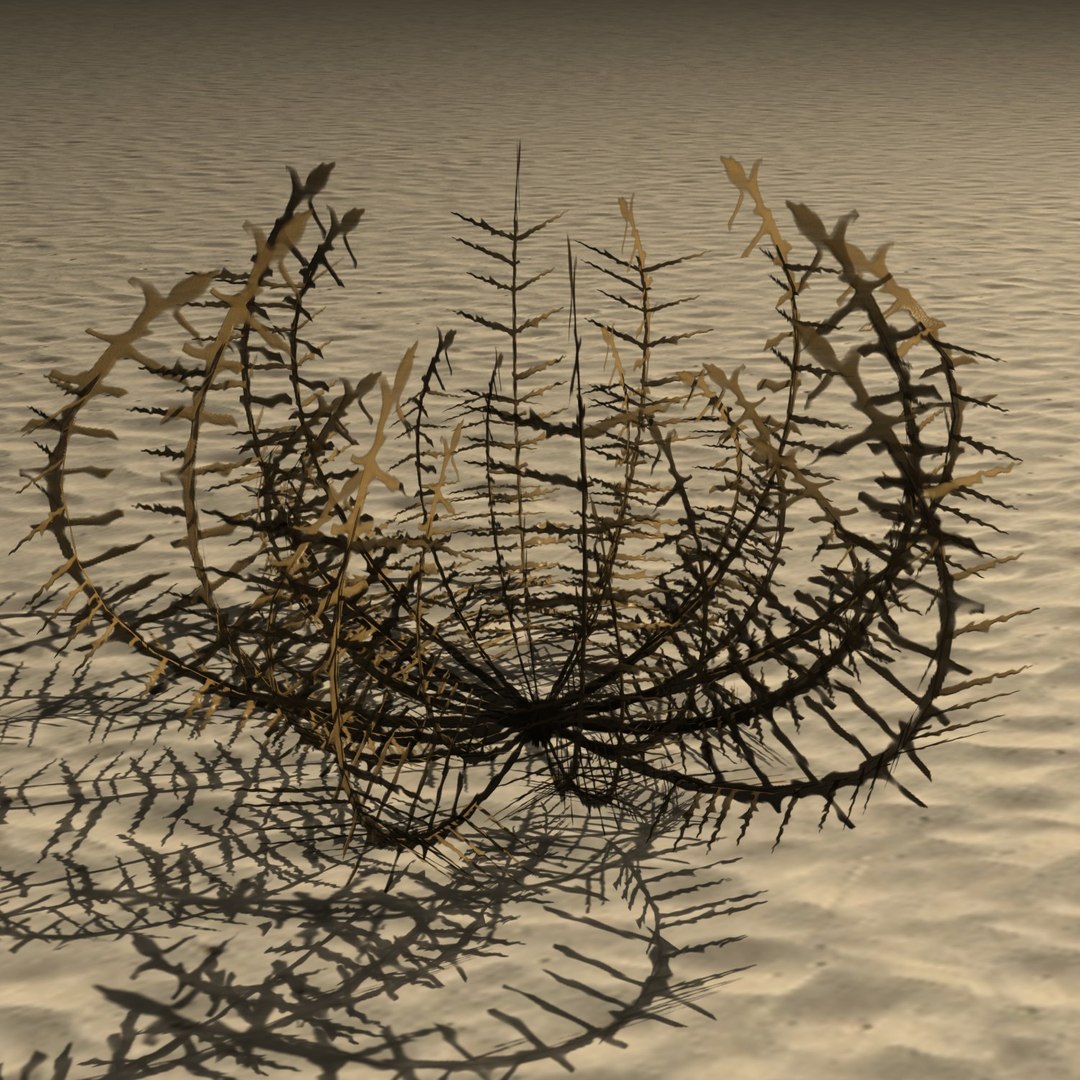 Tumbleweed Tumble Weed 3d Model