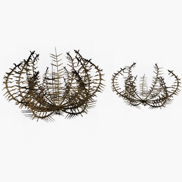 tumbleweed tumble weed 3d model