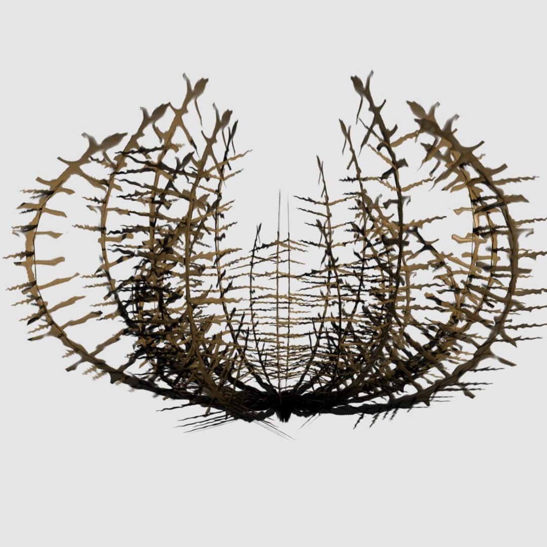 Tumbleweed Tumble Weed 3d Model