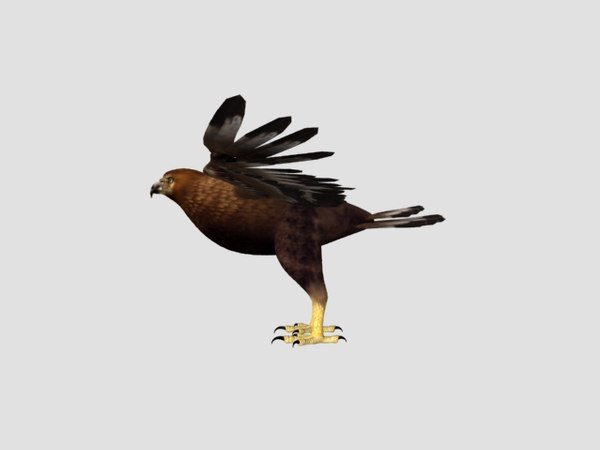 Eagle Rig Modelo 3D - TurboSquid 1391720