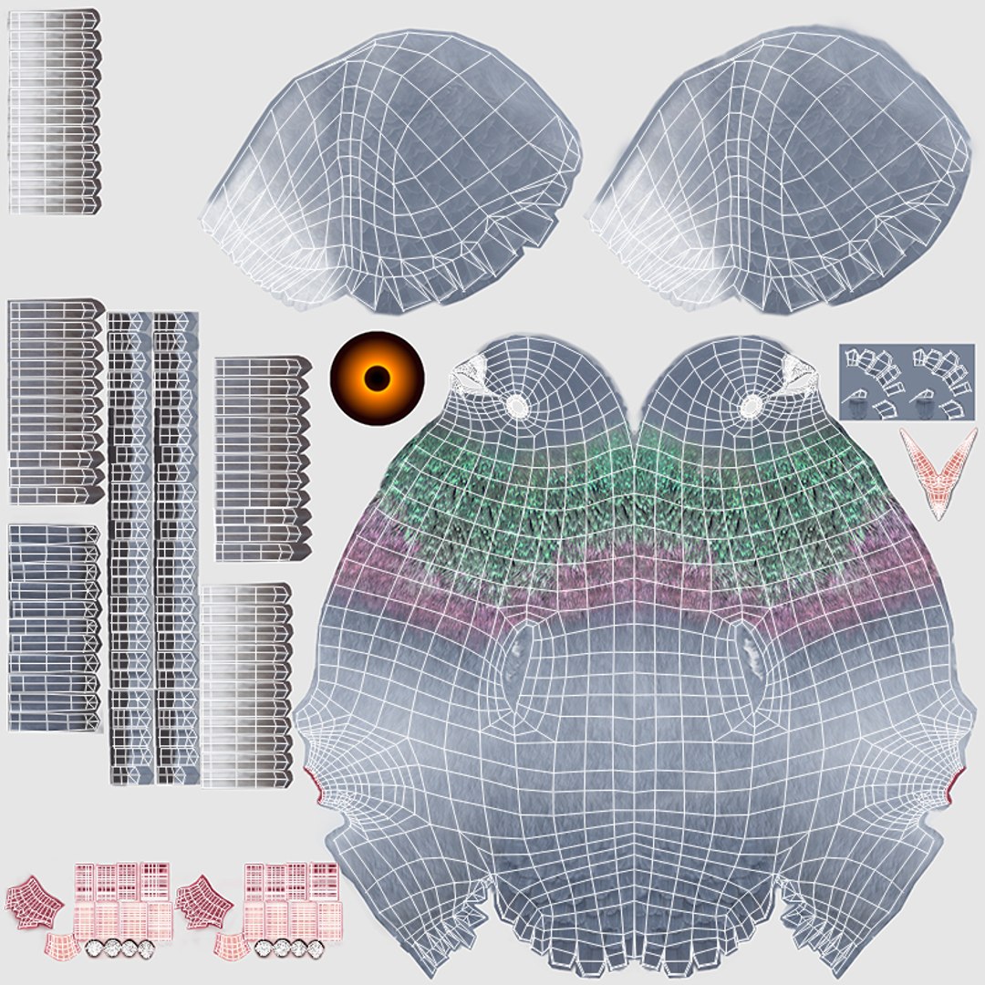 3d Model Of Realistic Pigeon Wings Folded