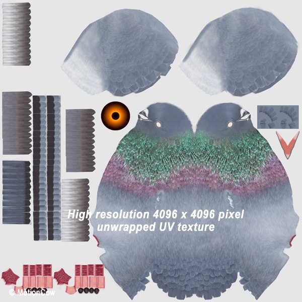 3d model of realistic pigeon wings folded