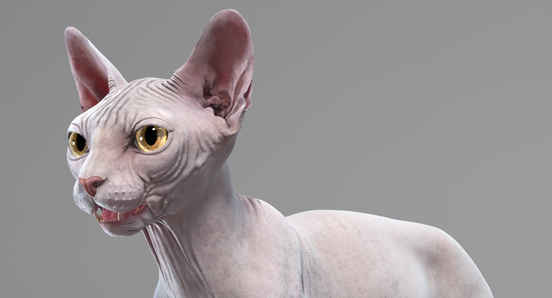 3D sphynx cat animations model - TurboSquid 1433594