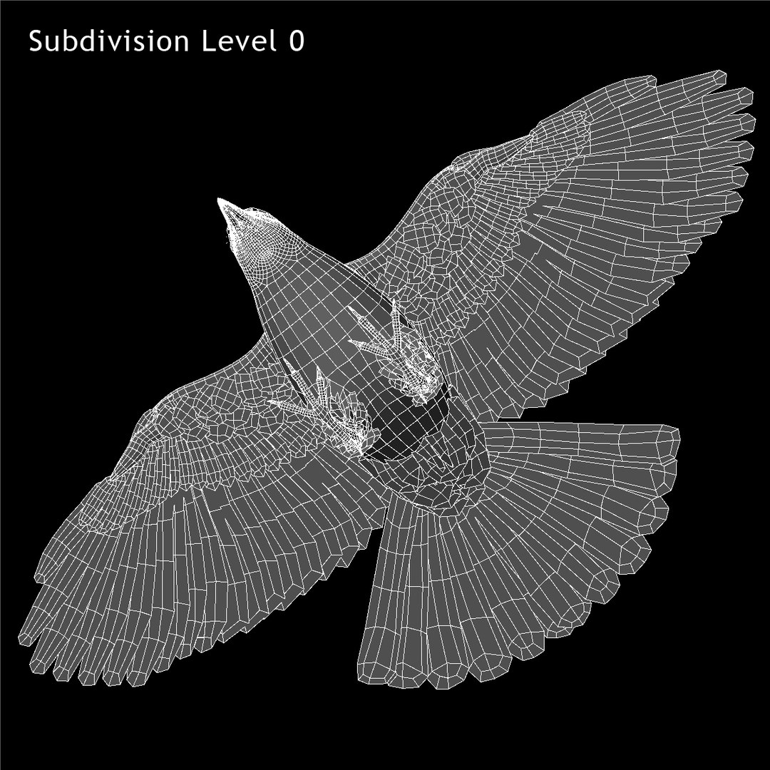 garrulus glandarius eurasian jay 3d model