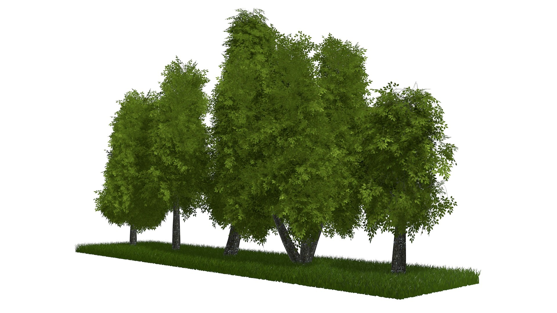 3D Five Low Poly Trees R3 - TurboSquid 2338107