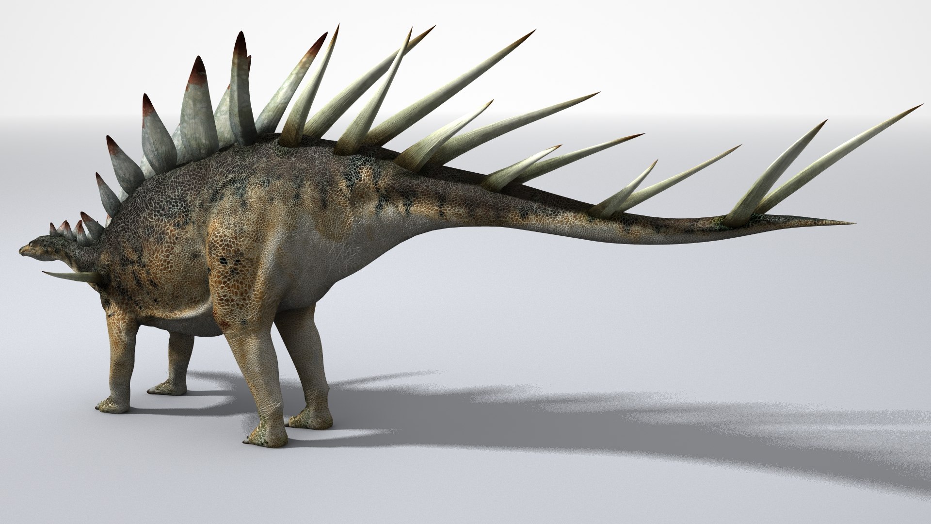 3D Dacentrurus Armatus - TurboSquid 1845919