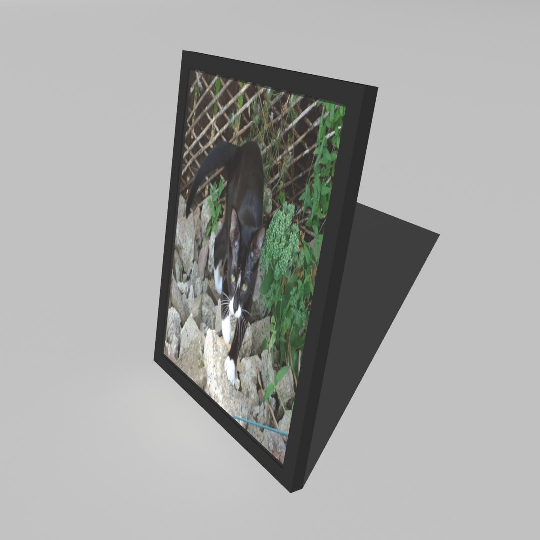 3d Model Picture Frame