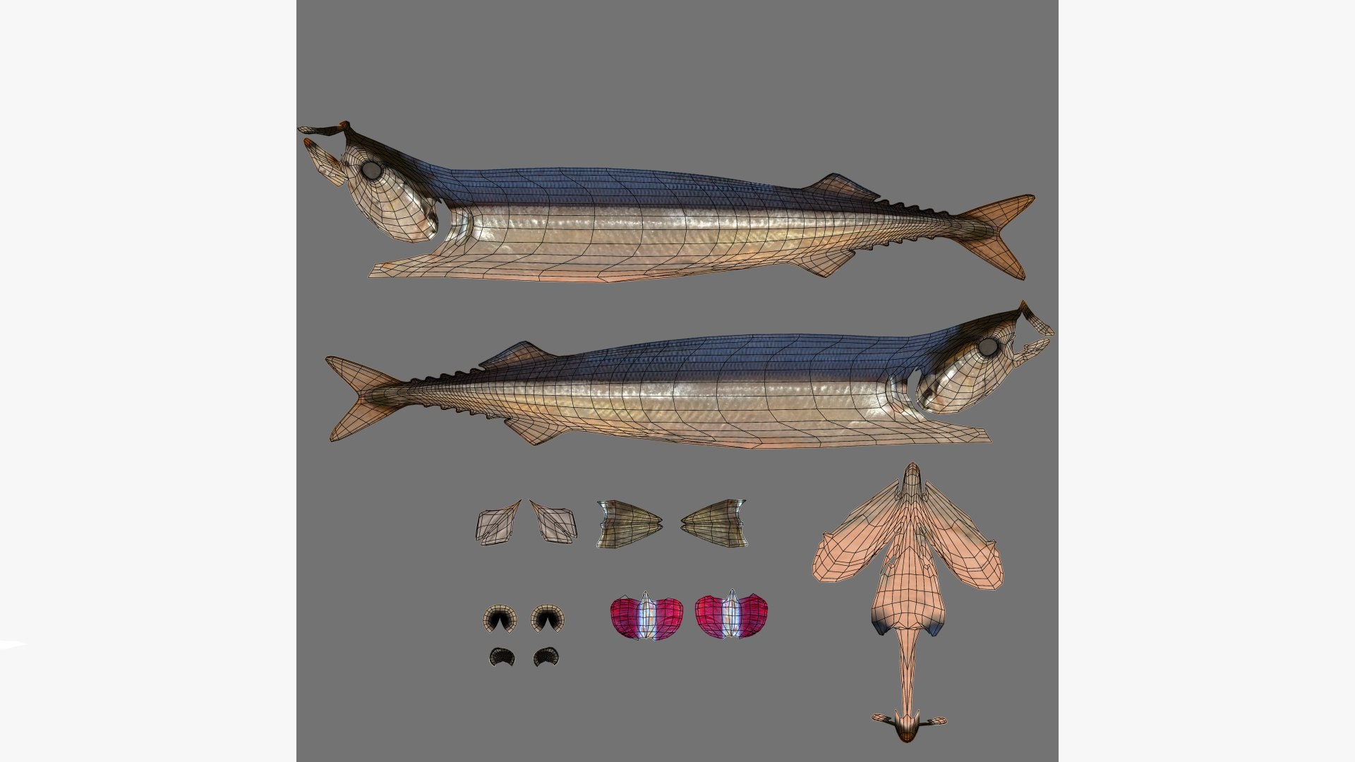 3D Pacific Saury - TurboSquid 2348070