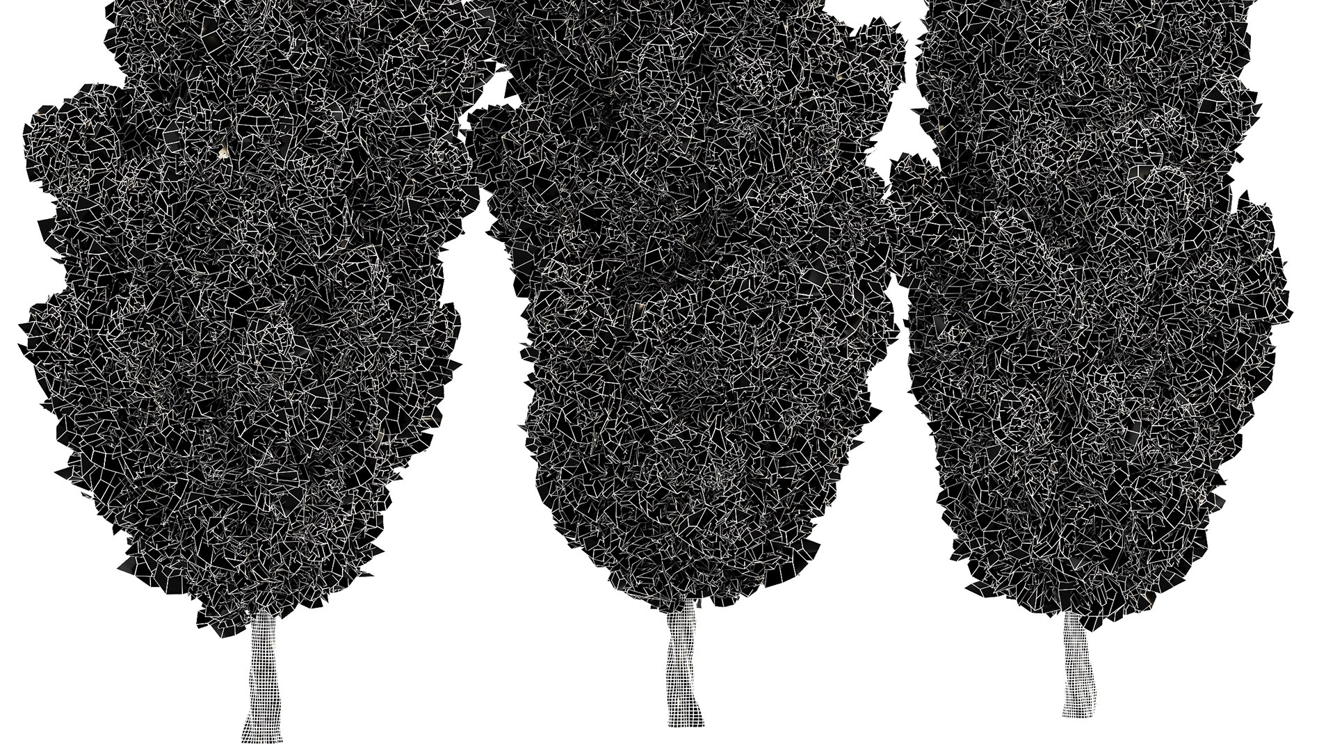 Italian Cypress High Details Tree CORONA Max 3D Model - TurboSquid 2245655