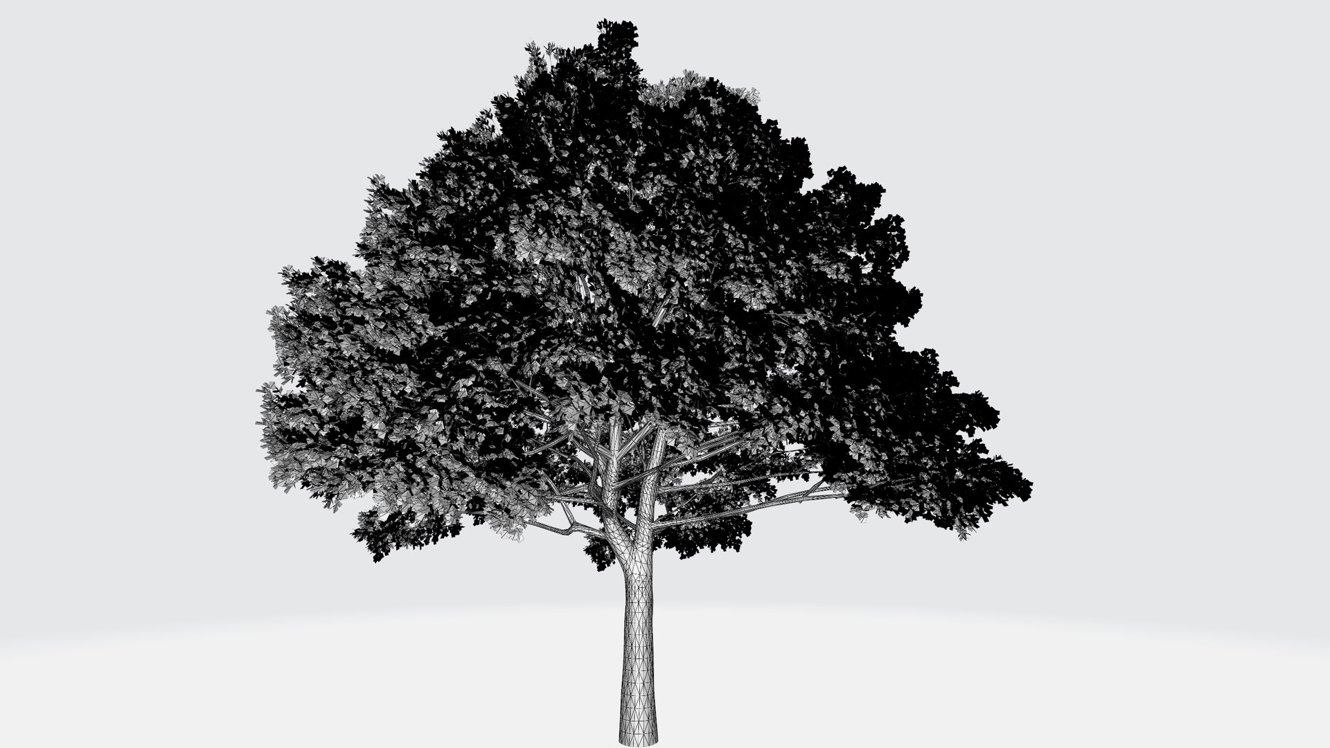 Medium-sized Green Tree 3D Model - TurboSquid 1956153