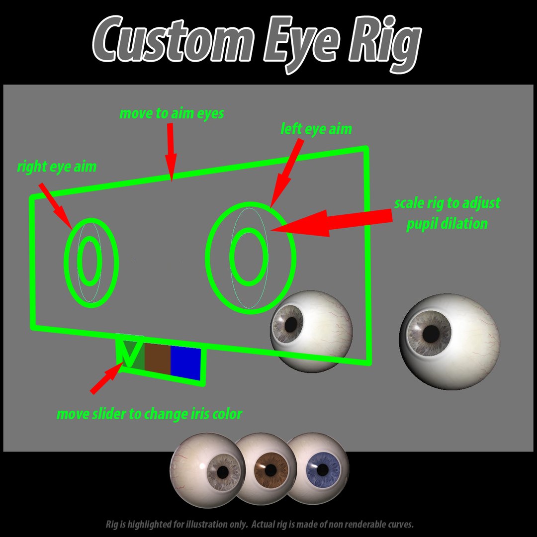 Eyes Rigged 3d Ma