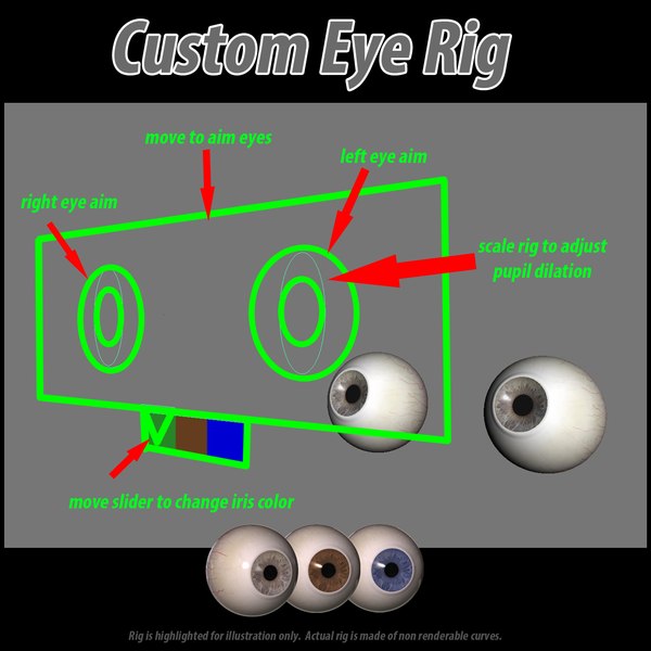 eyes rigged 3d ma