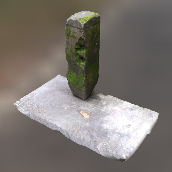 Free 3D Moss Models | TurboSquid